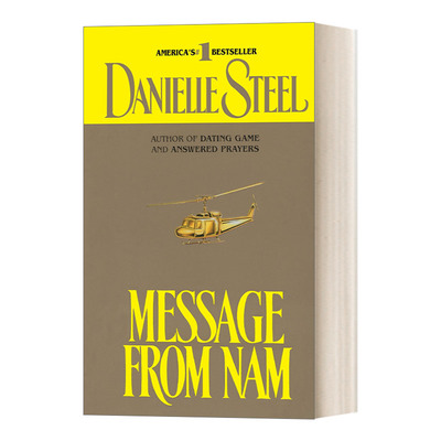 Message from Nam 来自越南的消息 Invisible隐形人作者Danielle Steel