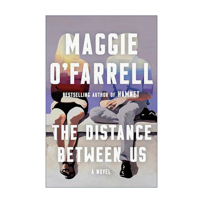 英文原版 The Distance Between Us 我们之间的距离 Hamnet哈姆奈特作者Maggie O'Farrell 英文版 进口英语原版书籍