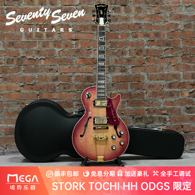 TOCHIHHODGS限定电吉他