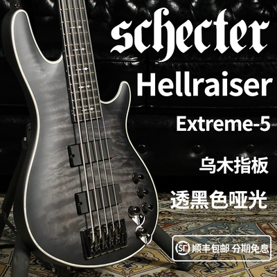 SchecterHellraiserExtreme5弦