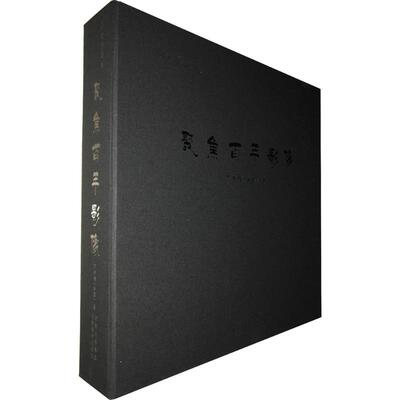【正版包邮】 历史的凝眸 (法)方苏雅 著 云南美术出版社