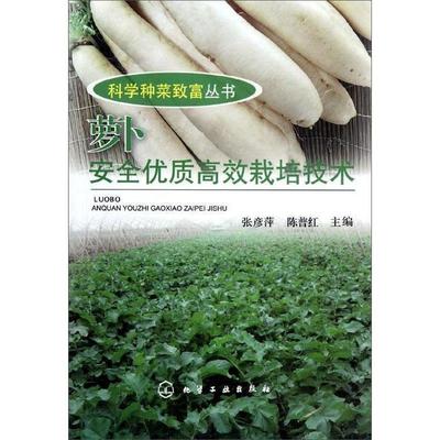 【正版包邮】 科学种菜致富丛书--萝卜安全优质高效栽培技术 张彦萍,陈普红　主编 化学工业出版社