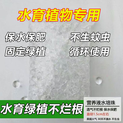 水培植物营养珠固定颗粒透明珠营养液泡大珠养花材料吸水珠水培珠