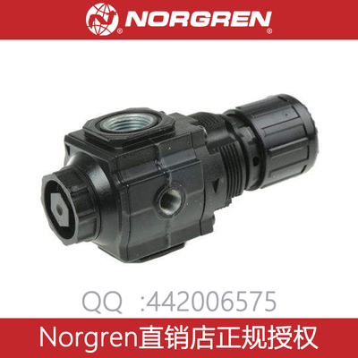 R74G-6GK-RFN 6BK 6AK RFG Excelon调压阀 NorgrenR74G系列减压阀