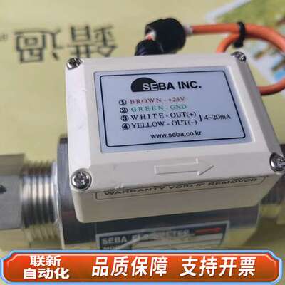 SEBA电子流量计，型号：SCTUF-SL-100-