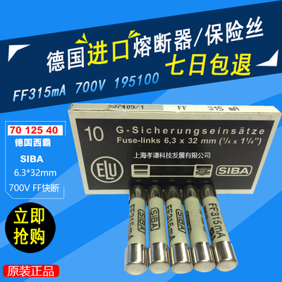 熔断器保险丝管SIBA7012540