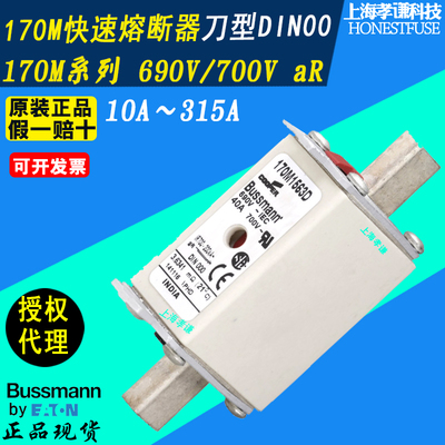熔断器BUSSMANN170M1563