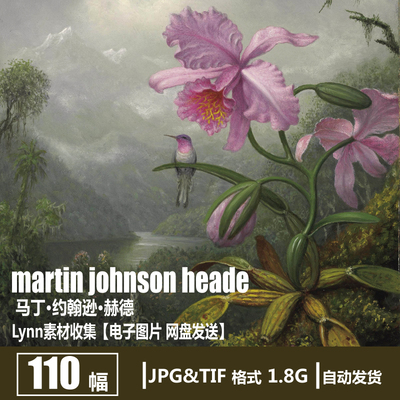 马丁·赫德 martin johnson heade 美国奇幻花鸟风景静物油画素材