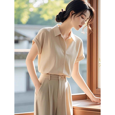 2025新款冷淡系高级感干练气质时尚职业衬衫裤子两件套装女装夏季