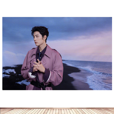 男明星海报定制肖战帅气写真周边海报房间卧室寝室床头墙贴画02