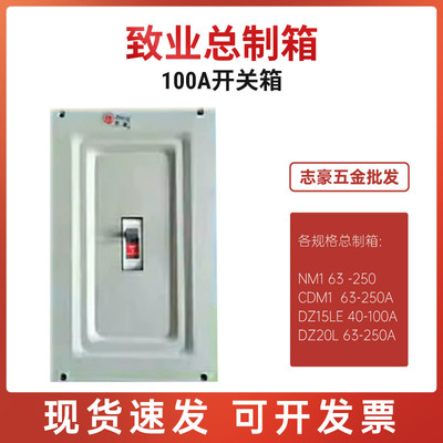 致业100A总制箱250A塑壳开关箱DZ20L布线箱 强电箱NM10铁箱DZ15LE