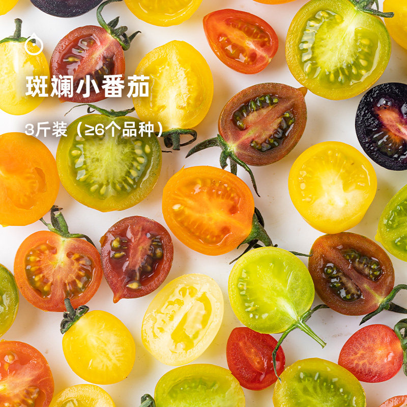 下季再见!企鹅市集 斑斓小番茄盲盒 山东潍坊圣女果小西红柿3斤