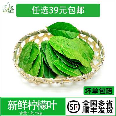 新鲜柠檬叶 青柠叶约250g西餐香料烹饪调料冬阴功汤原料鱼生佐料