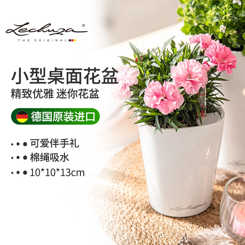 Lechuza德国进口家用花盆环保树脂迷你自动上水绿植花卉办公种植