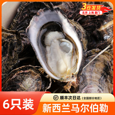 新西兰空运鲜活进口马尔伯勒生蚝