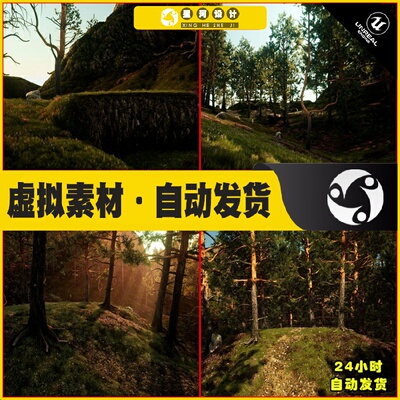 UE4虚幻5 Spirit Forest 唯美写实精神森林树林环境场景