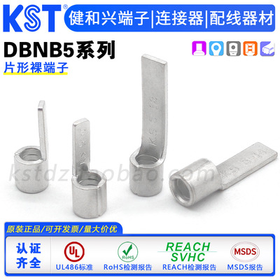 KST健和兴片形裸端子 DBNB5-10/13/14/18紫铜镀锡 UL CSA认证