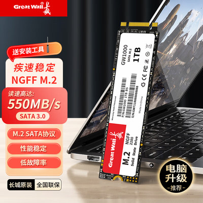 长城固态硬盘GW1000 M.2 SATA协议 台式笔记本通用 256G/512G/1TB