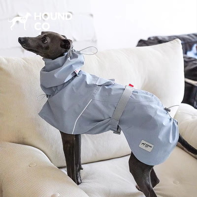 轻量化雨衣冲锋衣宠物