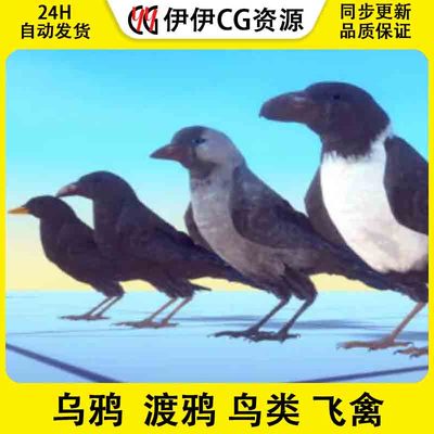 UE4虚幻5角色 Realistic Ravens and Crows 写实乌鸦鸟类模型集合