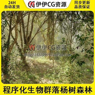 UE5虚幻5.4 PCG Biome Forest Poplar 程序化生物群落杨树森林