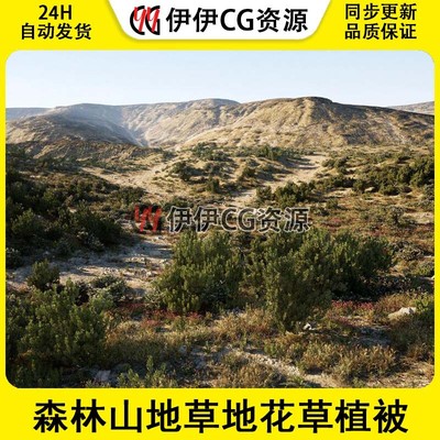 虚幻5UE4森林山地草地花草植被岩石头场景MW Shrubs and Bushes