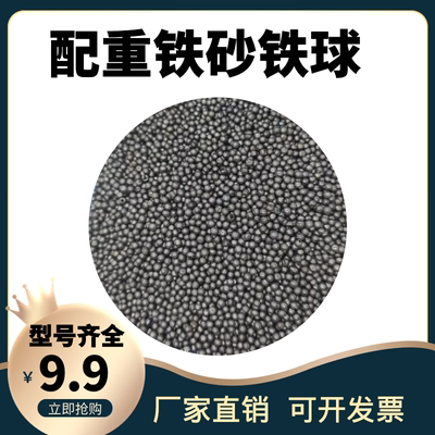 实验铁沙0.2/0.5/1/2/3/4mm钢砂脚架配重砂铁球小钢球珠沙袋填充
