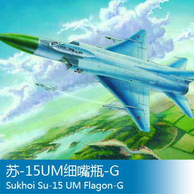小号手  1/48 苏-15UM细嘴瓶-G 02812