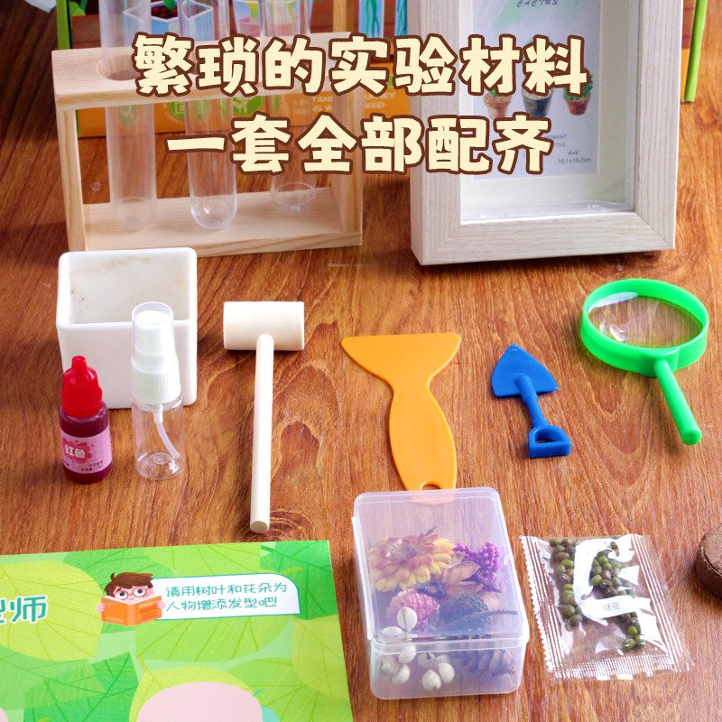 小小植物学家儿童种植生长观察科学实验套装手工DIY材料C08