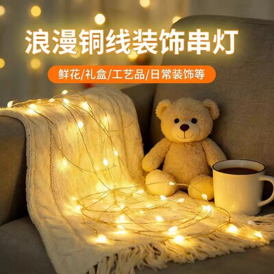 LED彩灯闪串生日气氛鲜花氛围灯