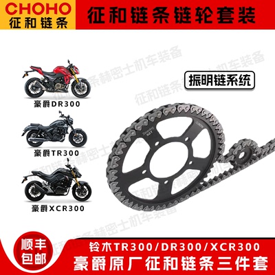豪爵铃木TR300振明链套装