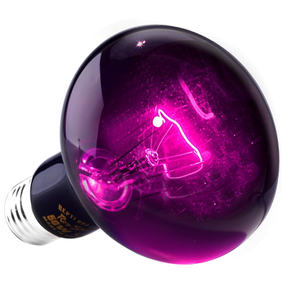 Rep－Shop爬宠UVA夜灯加热保温灯