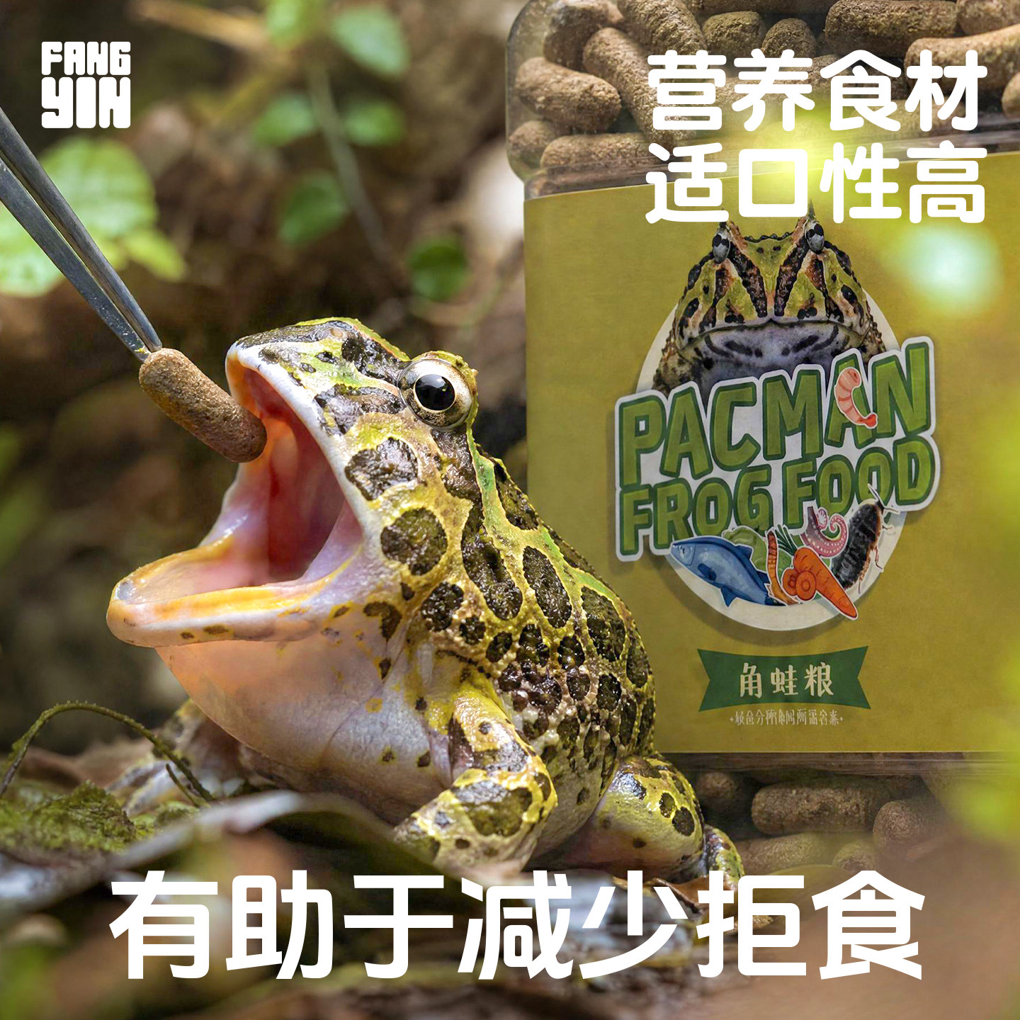 REP-SHOP角蛙粮绿角黄金霸王蝴蝶角蛙粮南瓜草莓角蛙食物非SUDO