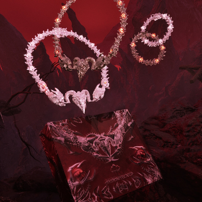 SASIOVERLXRDNICEPOWER