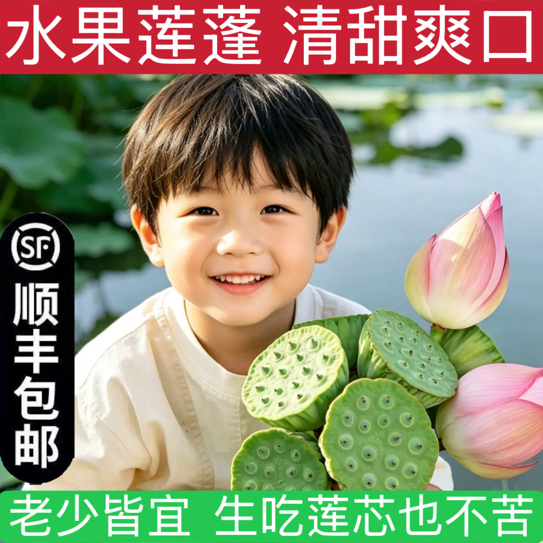 顺丰包邮新鲜莲蓬现摘生吃新鲜水果当季蔬菜洪湖甜嫩莲子米