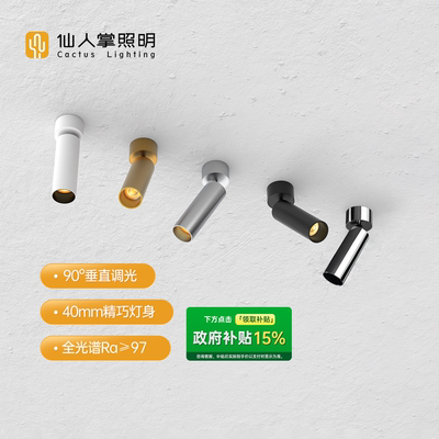 【政府补贴】仙人掌照明迷你明装40mm筒射灯中古风可调led天花灯
