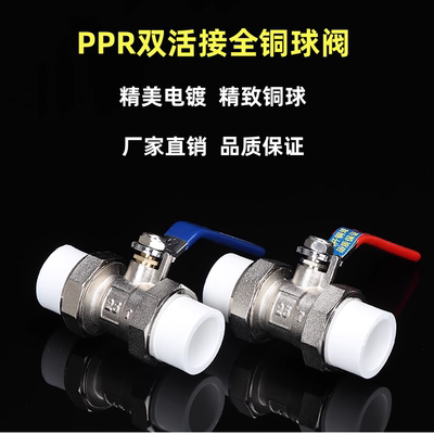 玉新ppr双活接铜球阀开关