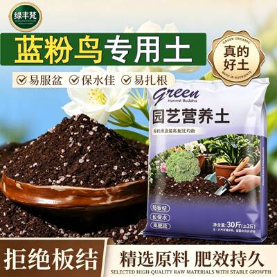 蓝粉鸟适用进口泥炭土不烂根不闷根室内加牛粪精选防黄叶观花扦插