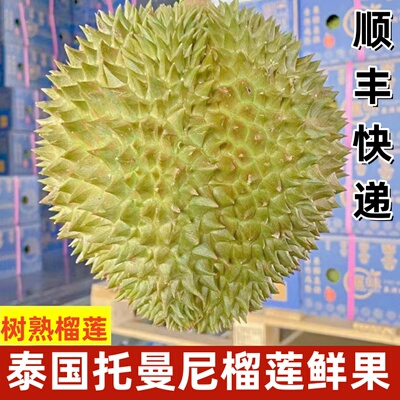 榴莲软糯香甜新鲜树上熟