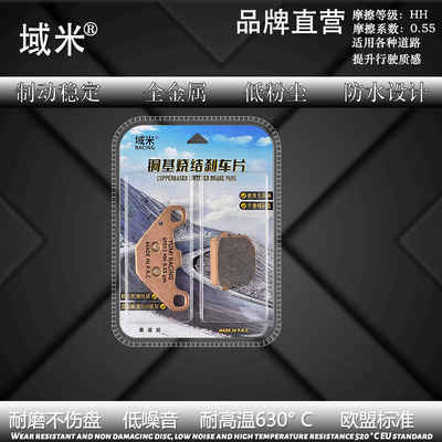 适用标致踏板摩托车Vivacity125都市版罗兰加洛斯版金属碟刹片