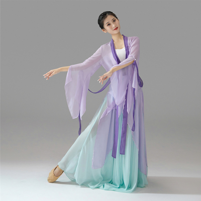 古典舞蹈服女飘逸长款身韵纱衣