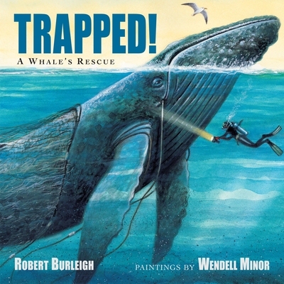 预订 被困！鲸鱼救援 动物故事 英文  Trapped！ A Whale's Rescue:9781580895590