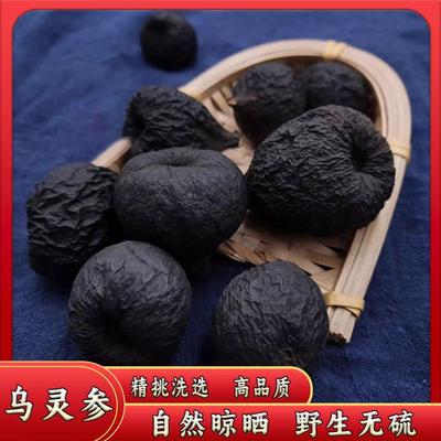 云南乌灵参雷震子干货鸡枞蛋雷乌丽参大货优质珍品滋补养生品