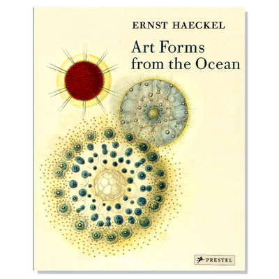 现货 Art Forms from the Ocean 来自海洋的艺术 博物学家Ernst Haeckel 恩斯特·海克尔 海洋生物放射虫版画艺术画册 英文原版