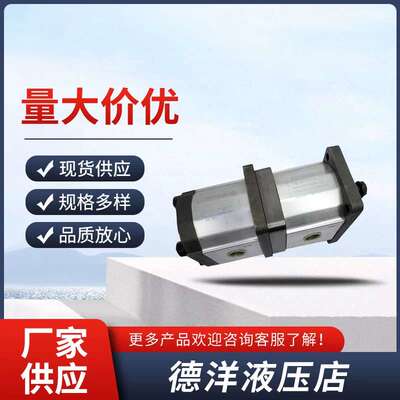 价意大利赛特玛双联泵SETTIMA螺杆泵GR28-2V-013-F1AC3液压齿轮泵