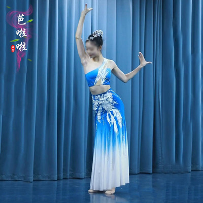 彩云之南舞蹈服傣族演出服艺考服