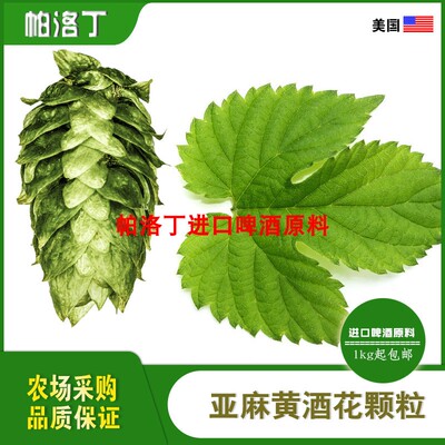 亚麻黄酒花精酿啤酒原料