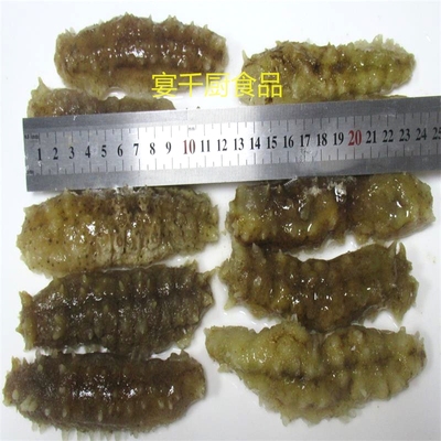 野生进口刺王参黄肉10条水