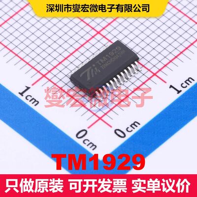 TM1929 QSOP-24-150mil LED驱动器 电源管理 集成芯片IC