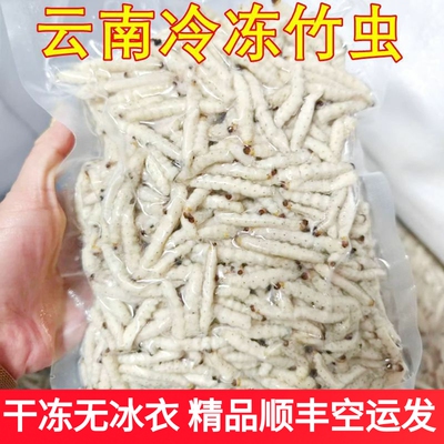 冰冻竹虫野生冷冻竹节虫蜂蛹云南虫子宴顺丰空运次日达净重无冰衣